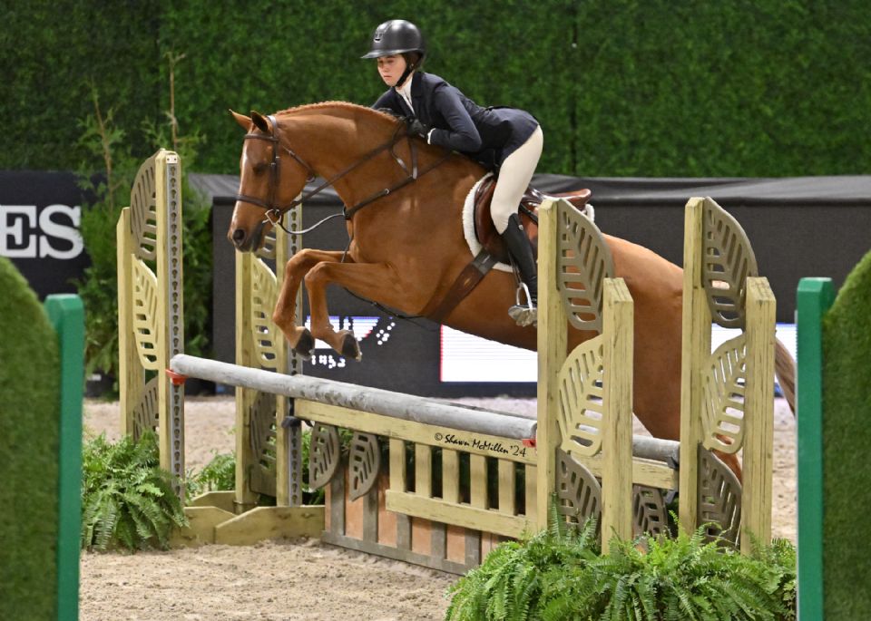 WIHS NEWS - Sunday Oct. 27 Report: Lilly Herzog Dominates Pony Sunday ...
