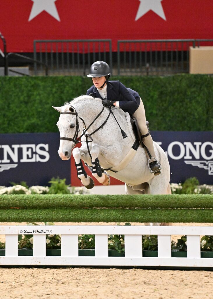 Double the Ponies, Double the Glory: Clovermeade Heartthrob and Orchard ...
